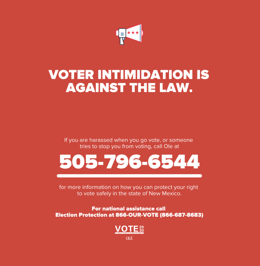 Addressing Voter Intimidation and Building Power: A Conversation with ...